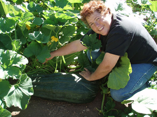 giant zucchini « giantveggiegardener