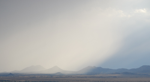 RAIN4 « giantveggiegardener