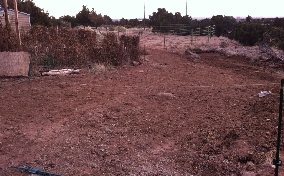 Starting a garden from raw ground « giantveggiegardener