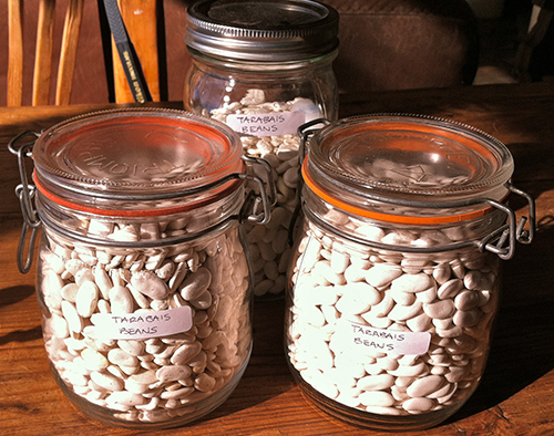 Tarbais bean/Cassoulet Part 1 « giantveggiegardener