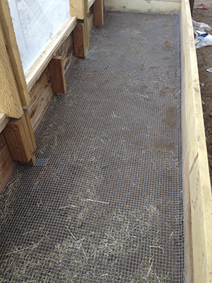 GH-hardware cloth « giantveggiegardener