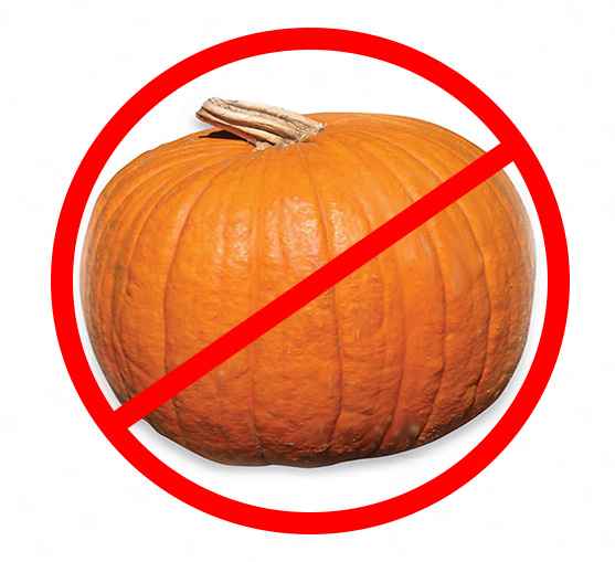 No Giant Pumpkin This Year :( « giantveggiegardener