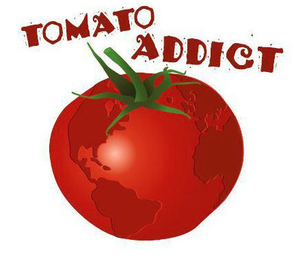 Warm Season Lettuces To Grow That Are Heat Tolerant « giantveggiegardener