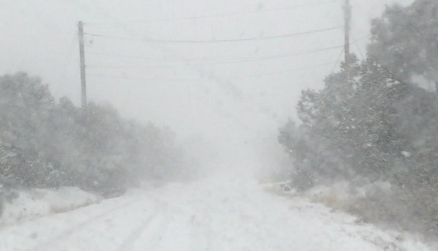 Wow! Lots of snow here! « giantveggiegardener