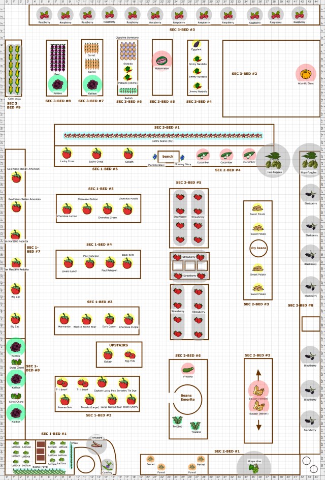 Million Dollar Fruit Garden Layout NW Fruit Garden | NW Fruit (Western
