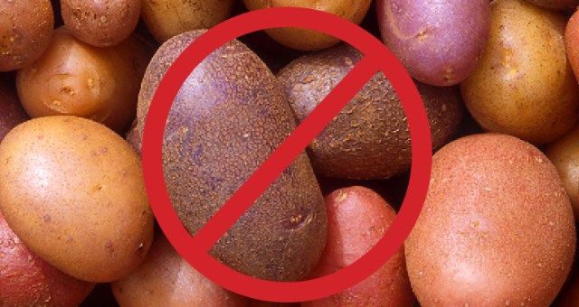 fingerling potatoes problems « giantveggiegardener